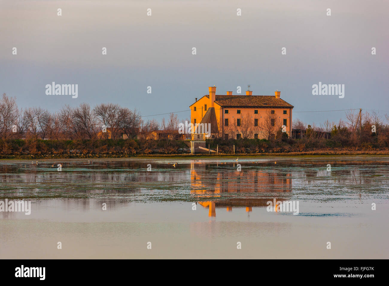 Italy Veneto Venice Lagoon Environs of Lio Piccolo Stock Photo - Alamy
