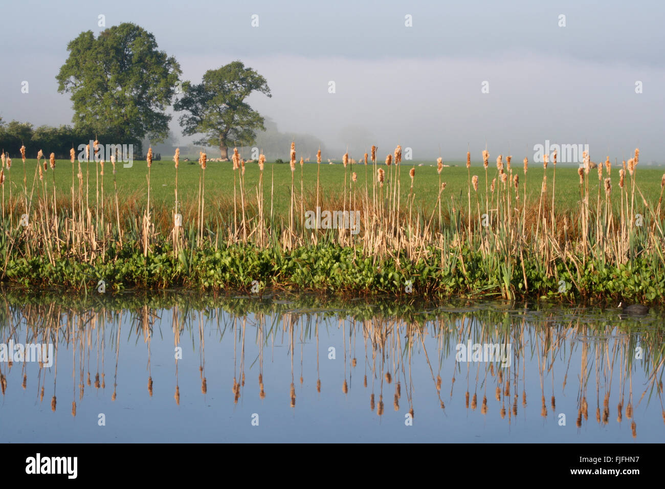 Shocklach hi-res stock photography and images - Alamy