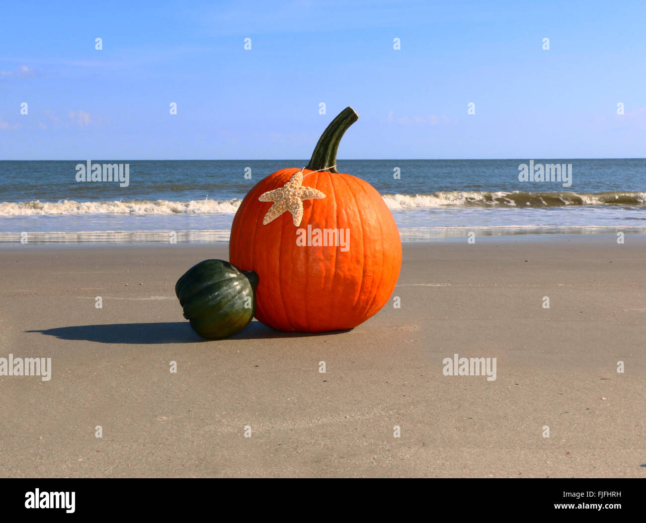 Pumpkin and squash on the beach Stock Photo - Alamy
