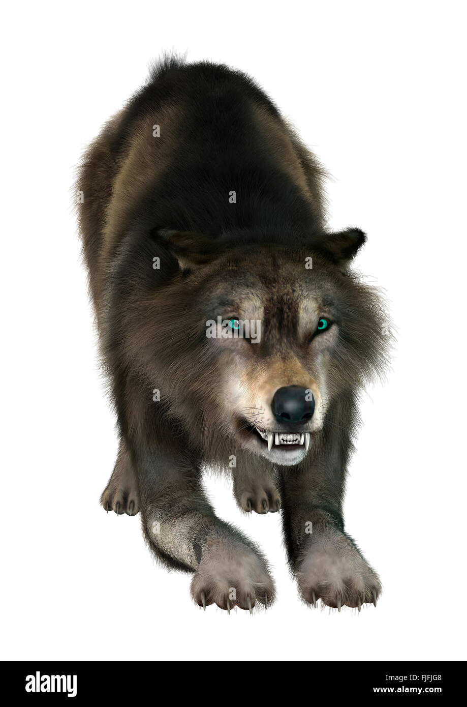 3D digital render of a wild wolf isolated on white background Stock ...