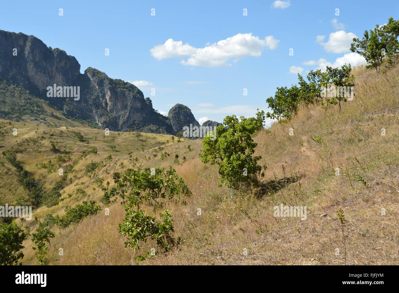 Guarico venezuela hi-res stock photography and images - Alamy