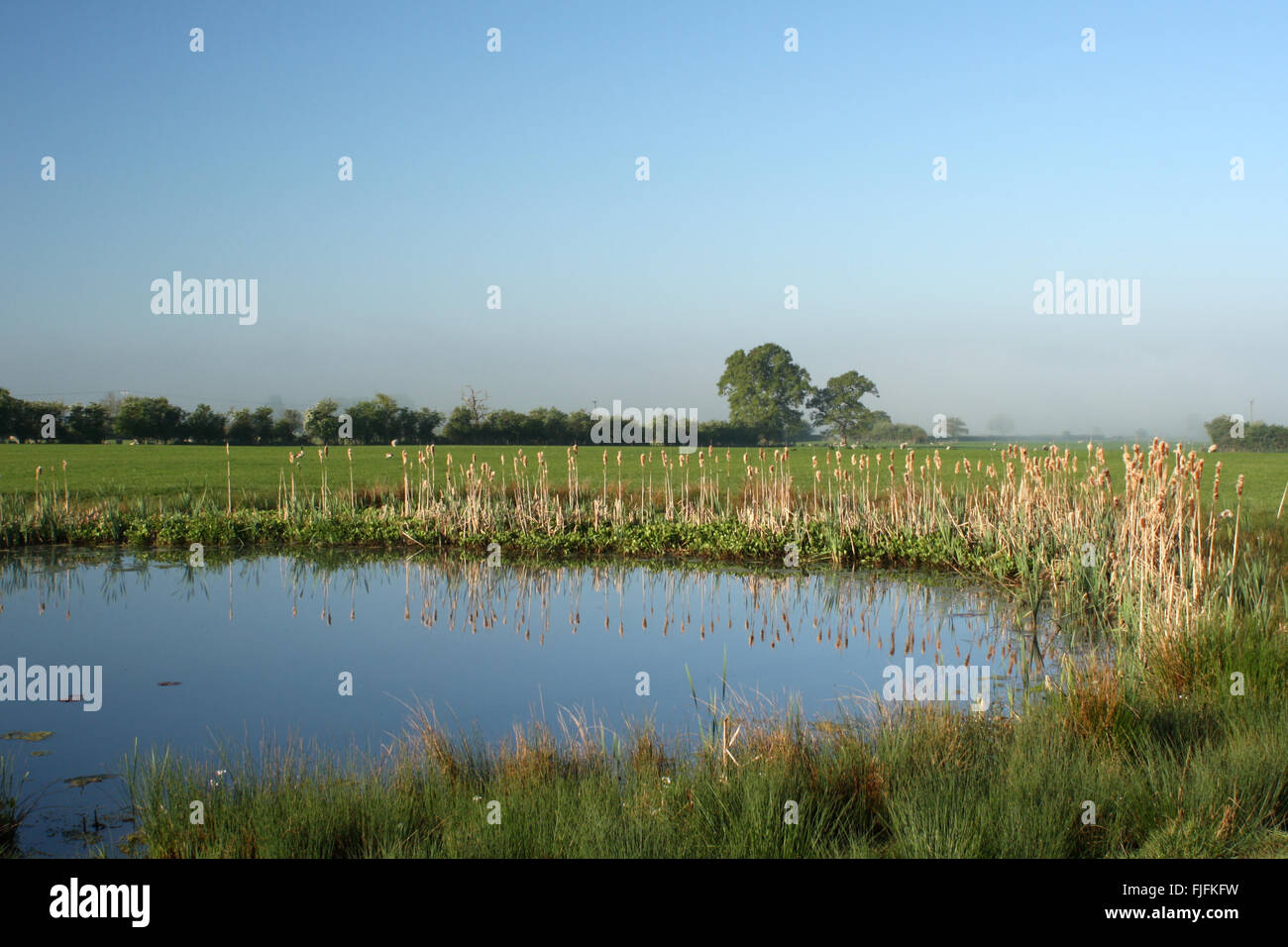 Shocklach hi-res stock photography and images - Alamy