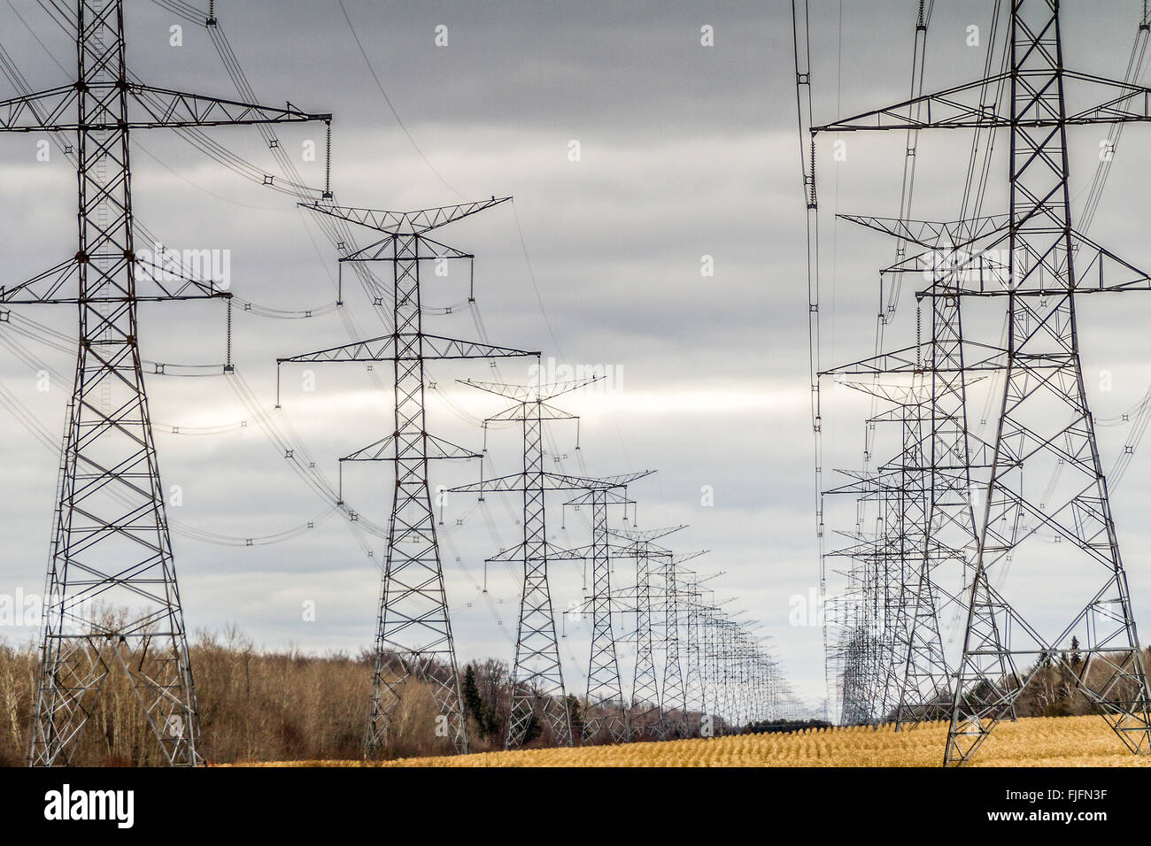 A row of high voltage transmission towers in a field Stock Photo - Alamy