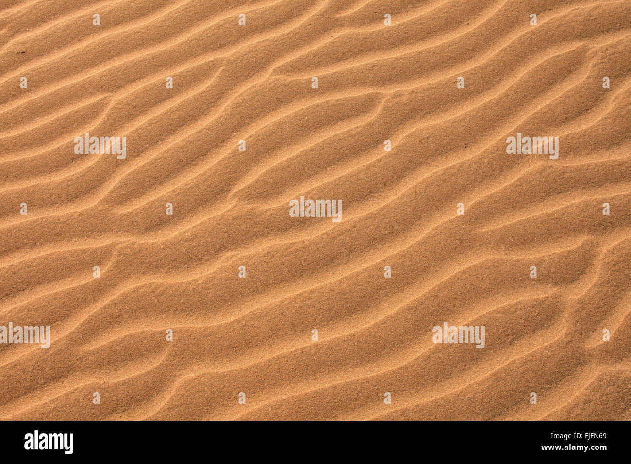 Sahara desert sand close up hi-res stock photography and images - Alamy