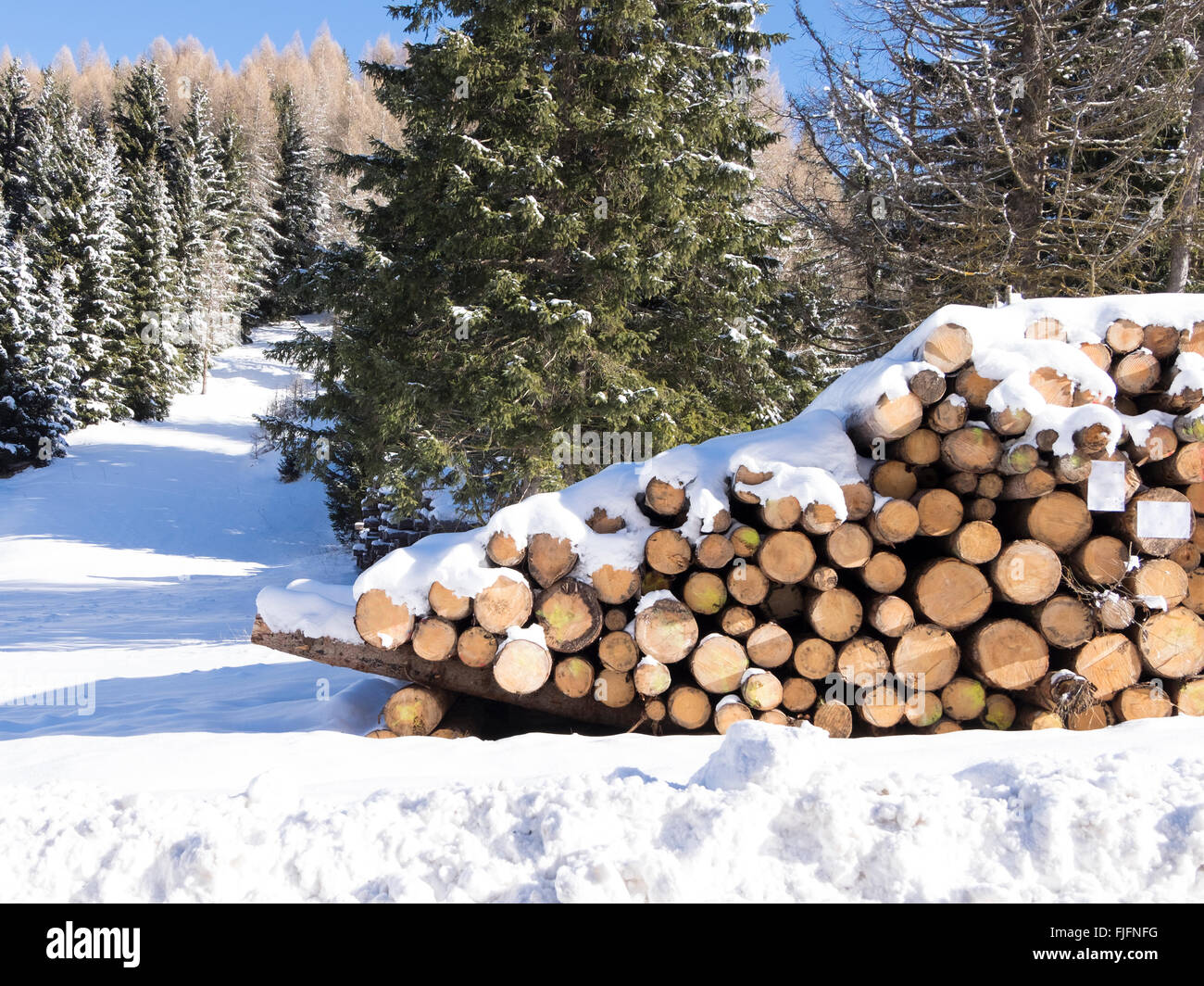 Firewood stack snow hi-res stock photography and images - Alamy