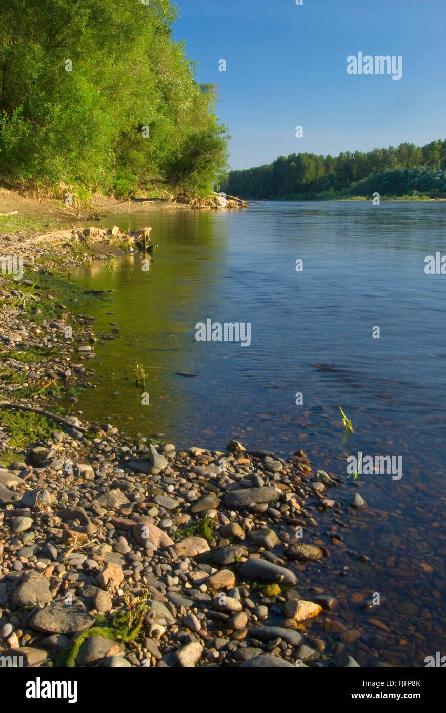 Willamette River, Willamette Mission State Park, Oregon Stock Photo - Alamy