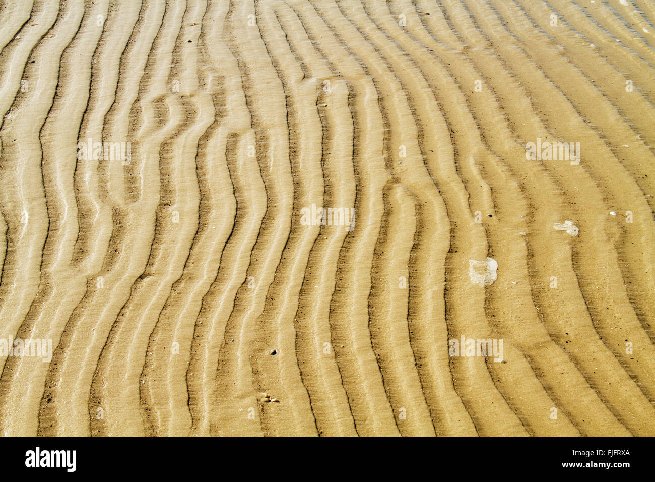 Beach sediment hi-res stock photography and images - Alamy