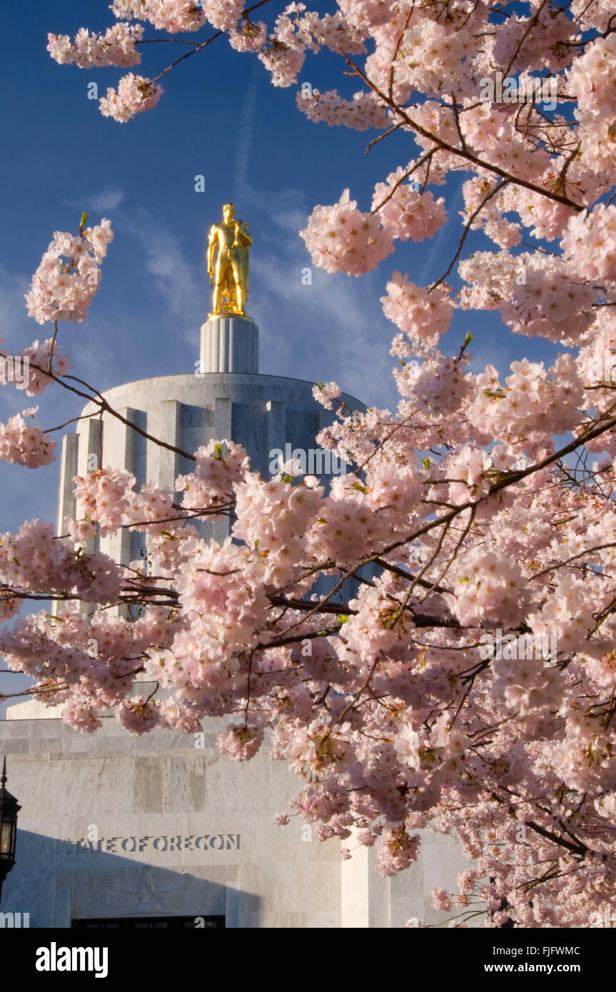 Oregon Pioneer statue (Capitol Dome) with cherry blossoms, State ...