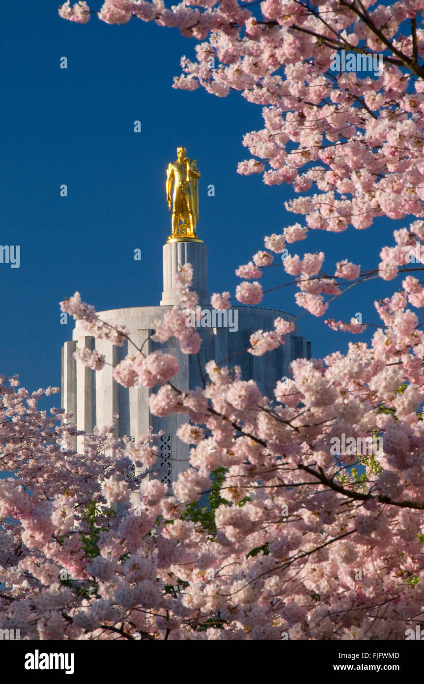 Oregon Pioneer statue (Capitol Dome) with cherry blossoms, State ...