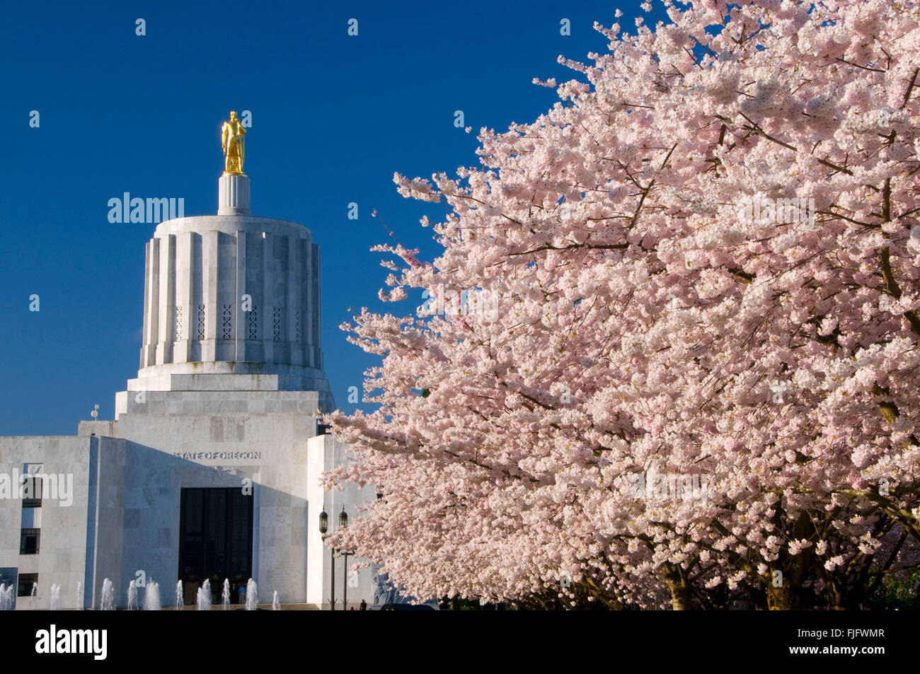 Oregon State Capitol with cherry blossoms, State Capitol State Park ...