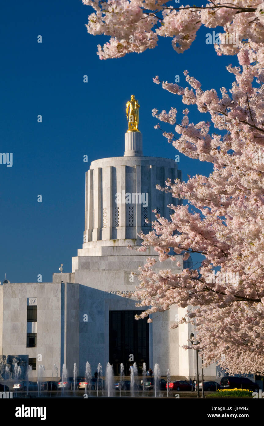 Oregon State Capitol with cherry blossoms, State Capitol State Park ...