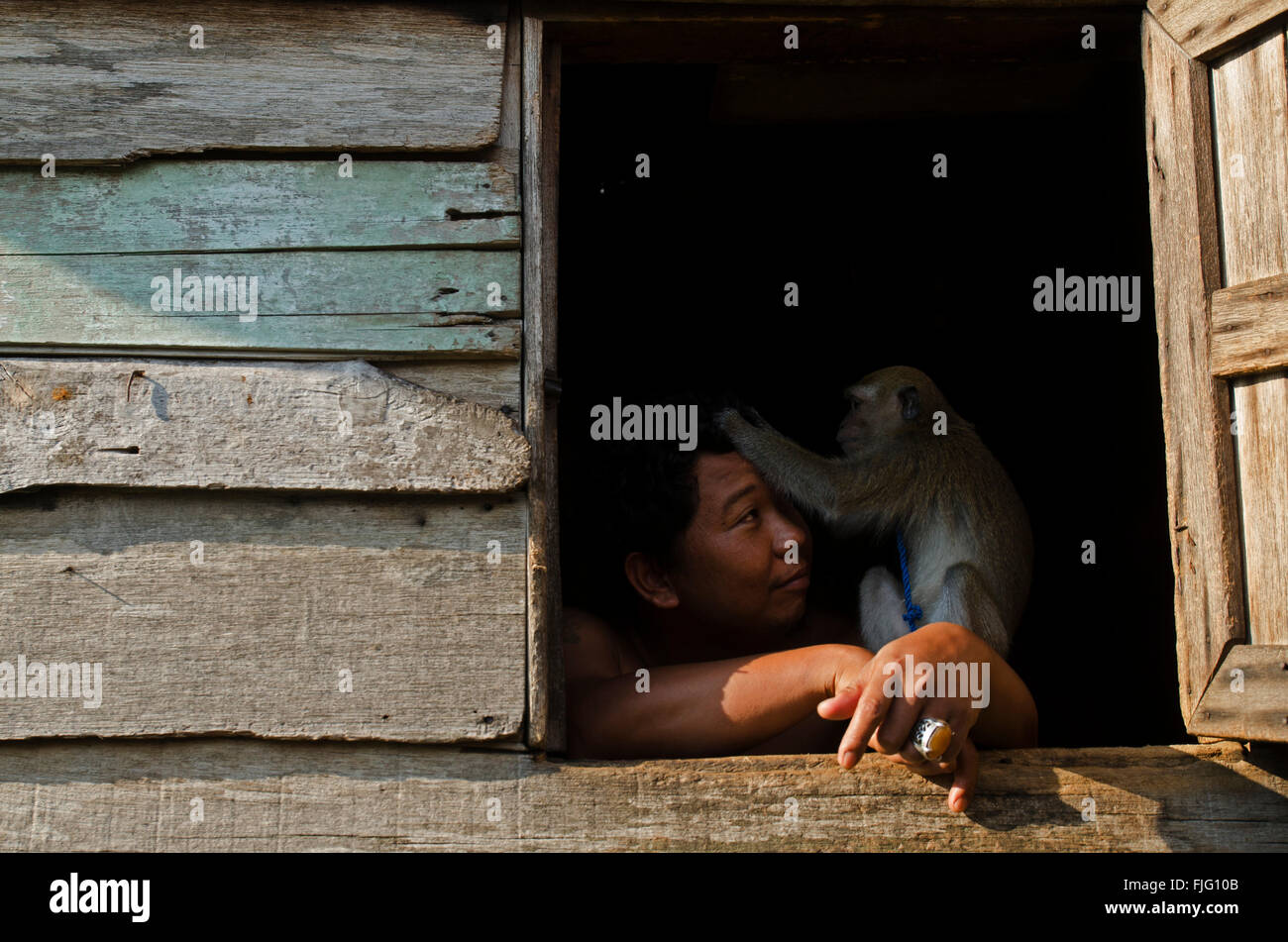 Pekanbaru, Indonesia. 18th Jan, 2016. A monkey picking lice from the ...