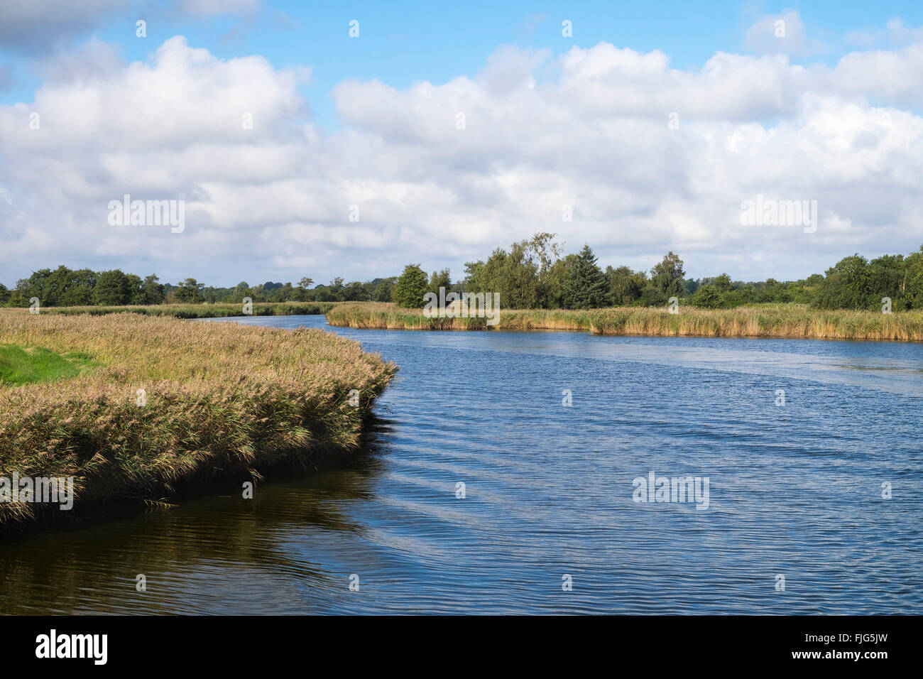 Prerower Strom or Prerowstrom, Prerow, Darss, Fischland-Darß-Zingst ...