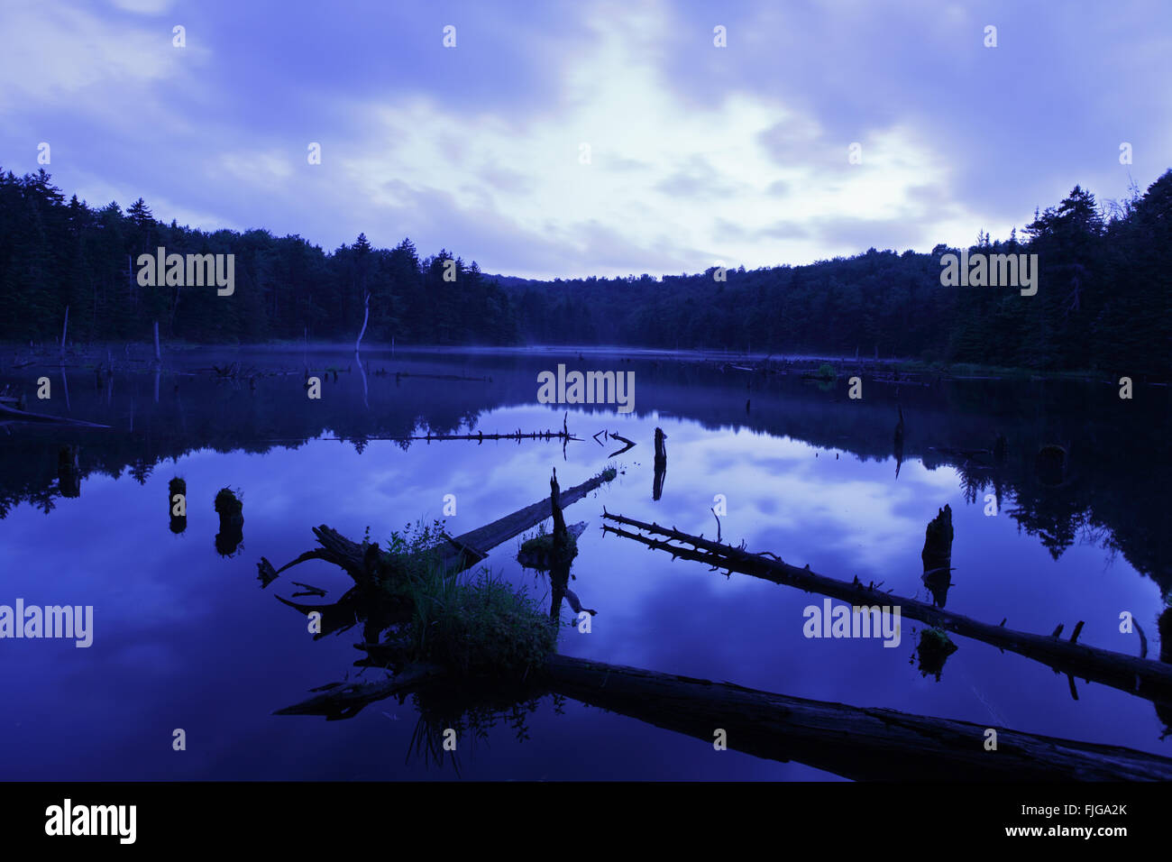 Beaver pond in the Green Mountains of Vermont with tungsten white ...