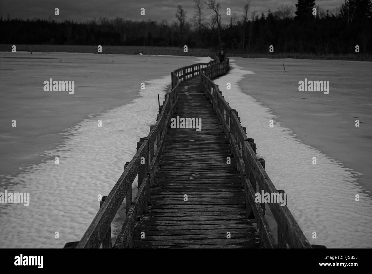 Frink Centre Belleville, Ontario,Canada Stock Photo - Alamy