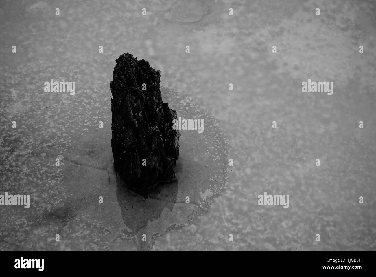 Frink Centre Belleville, Ontario,Canada Stock Photo - Alamy