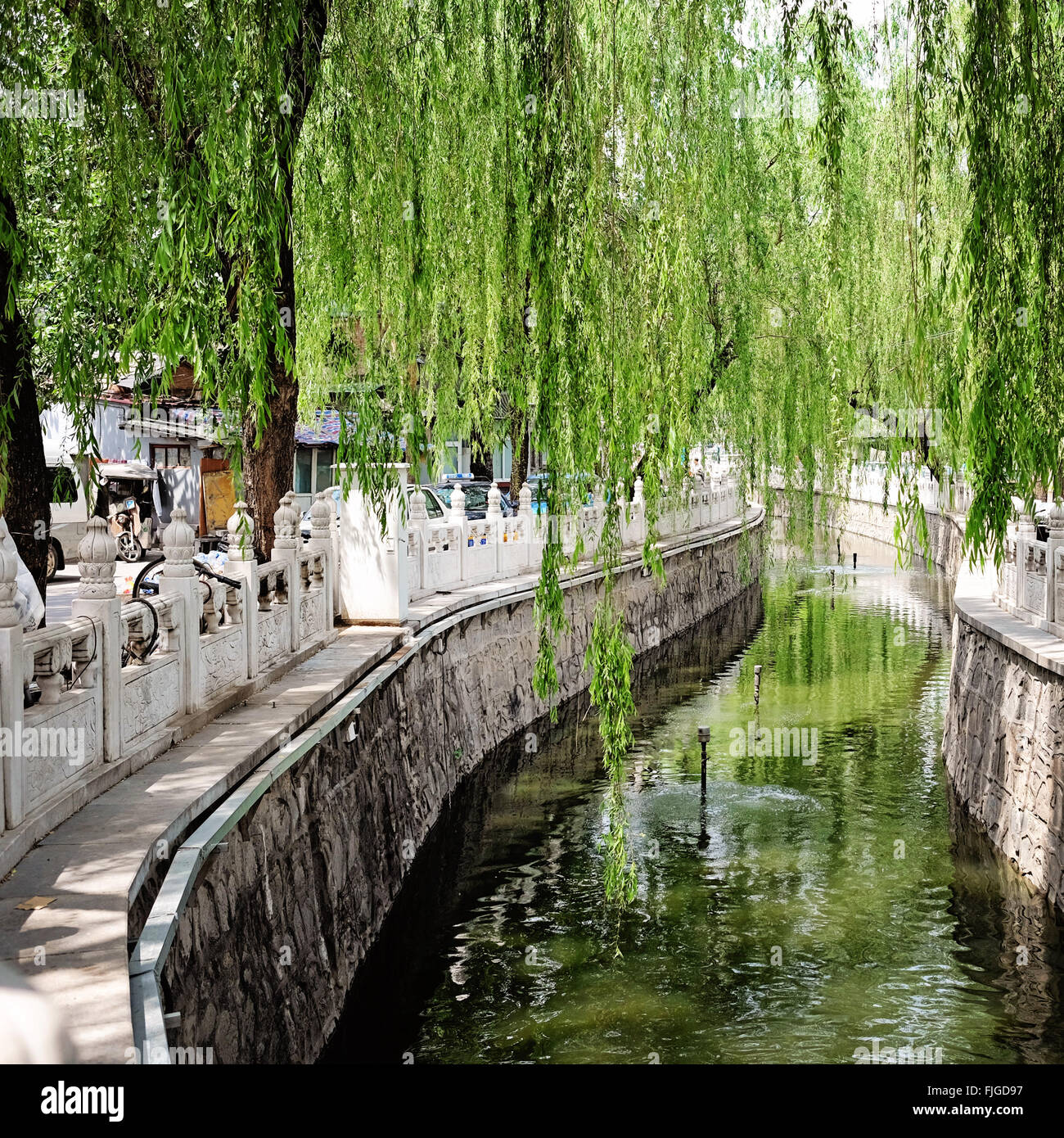 Weeping Willow over stream in Beijing Stock Photo - Alamy