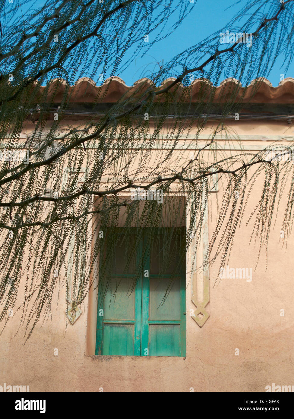 Green window in an old facade with tree. Vertical Stock Photo - Alamy