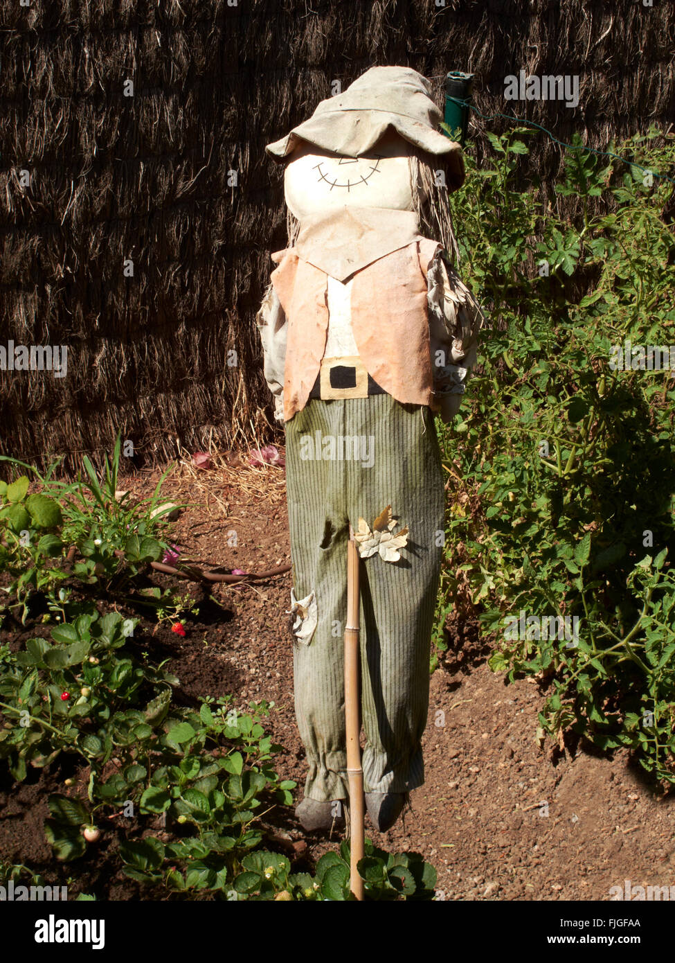 Scarecrow in a farm with human figure. Vertical Stock Photo - Alamy