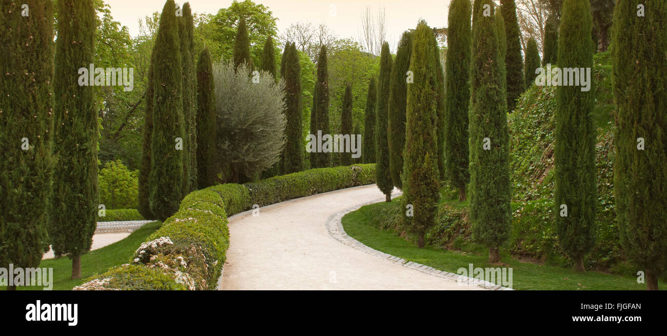 Cypresses and footpath in an urban park. Horizontal Stock Photo - Alamy