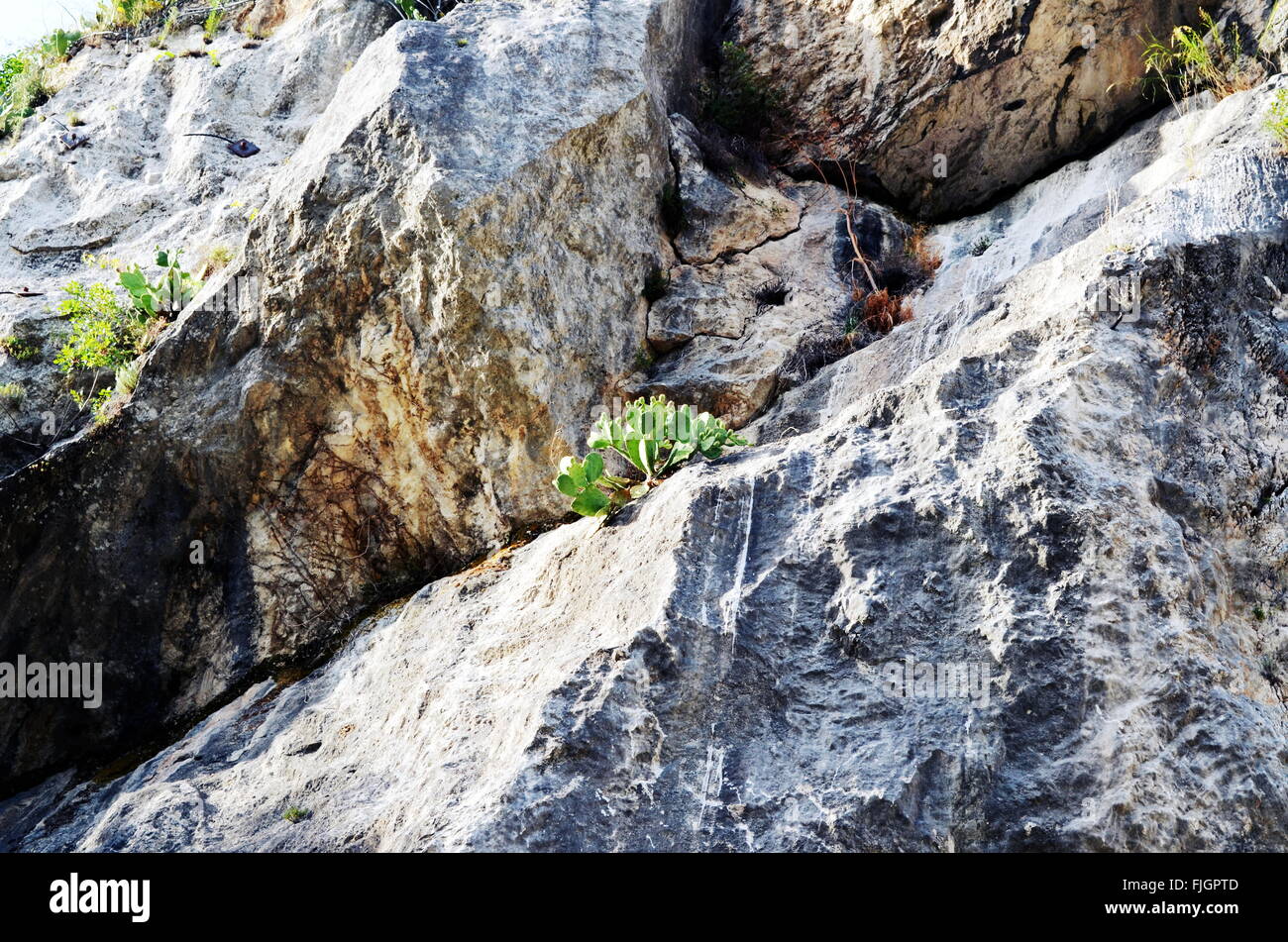 Flat stone backgrounds hi-res stock photography and images - Alamy
