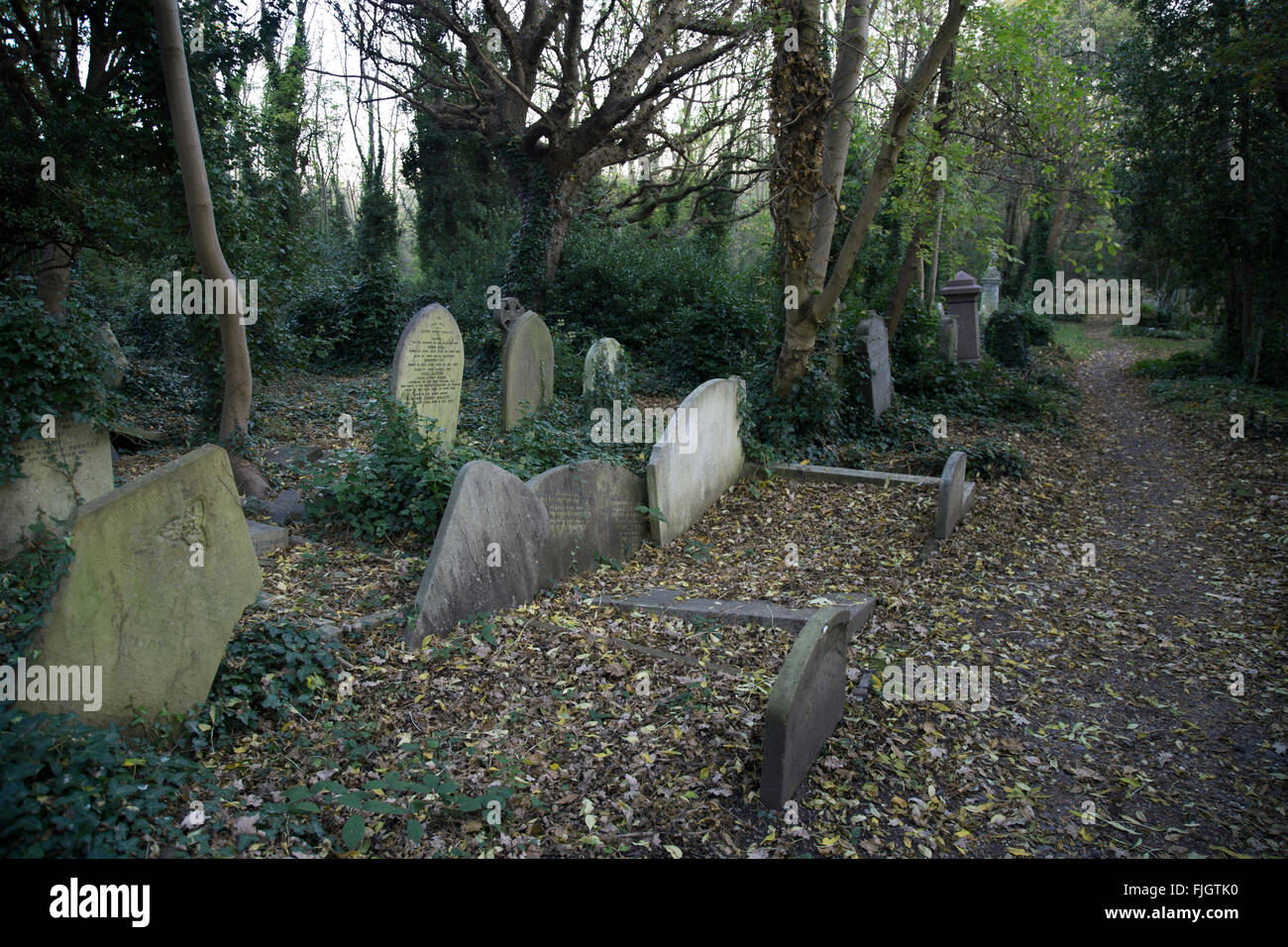 Highgate cemetery london ghost hi-res stock photography and images - Alamy