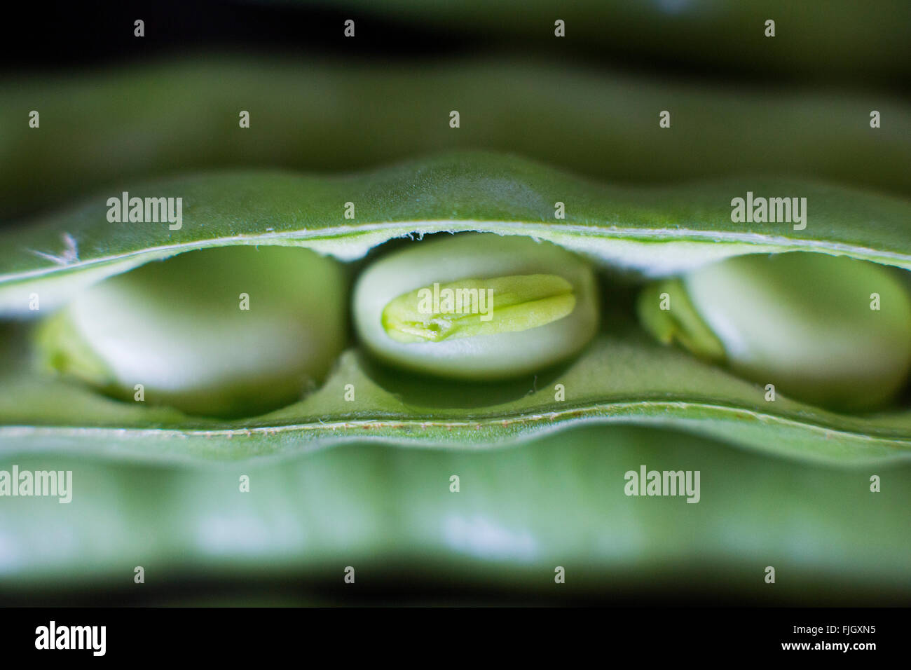 Close up views hi-res stock photography and images - Alamy