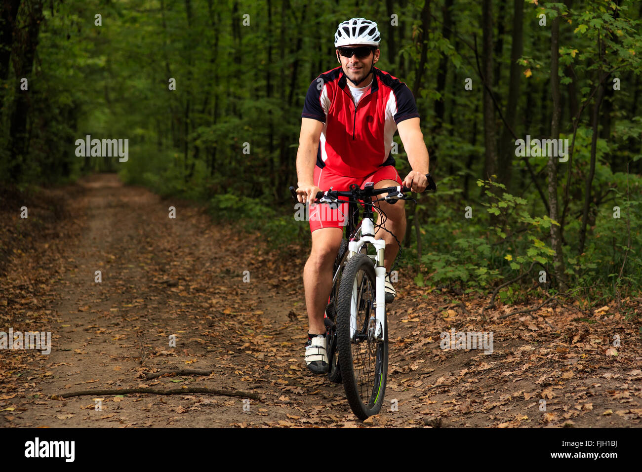 Rider on Mountain Bicycle it the forest Stock Photo - Alamy