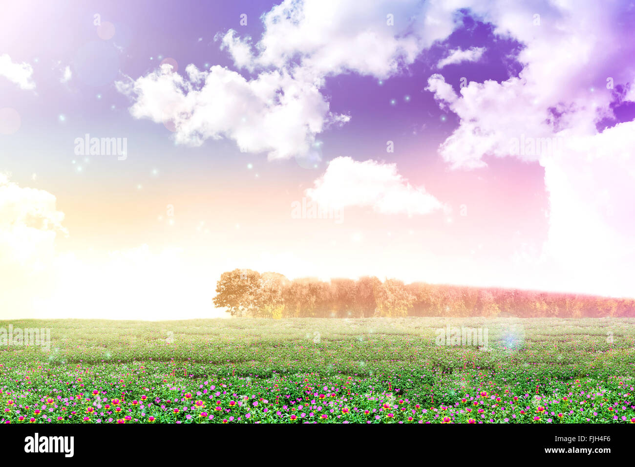 Dreamy Flower Background