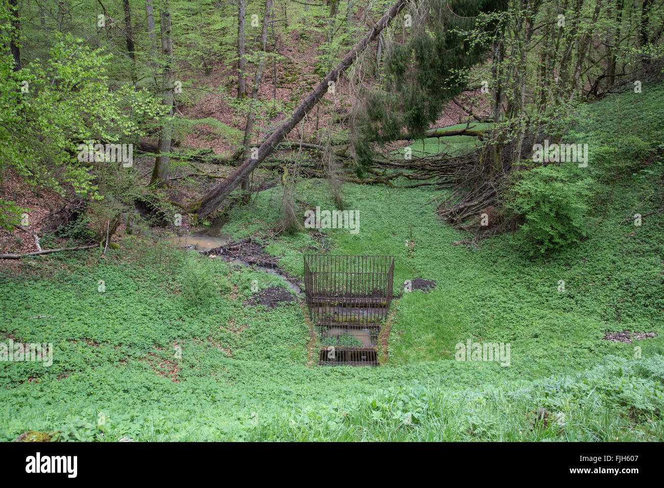 empty old detention basin in forest with discharge construction ...