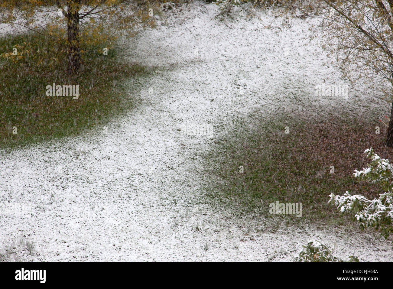 First meadow hi-res stock photography and images - Alamy