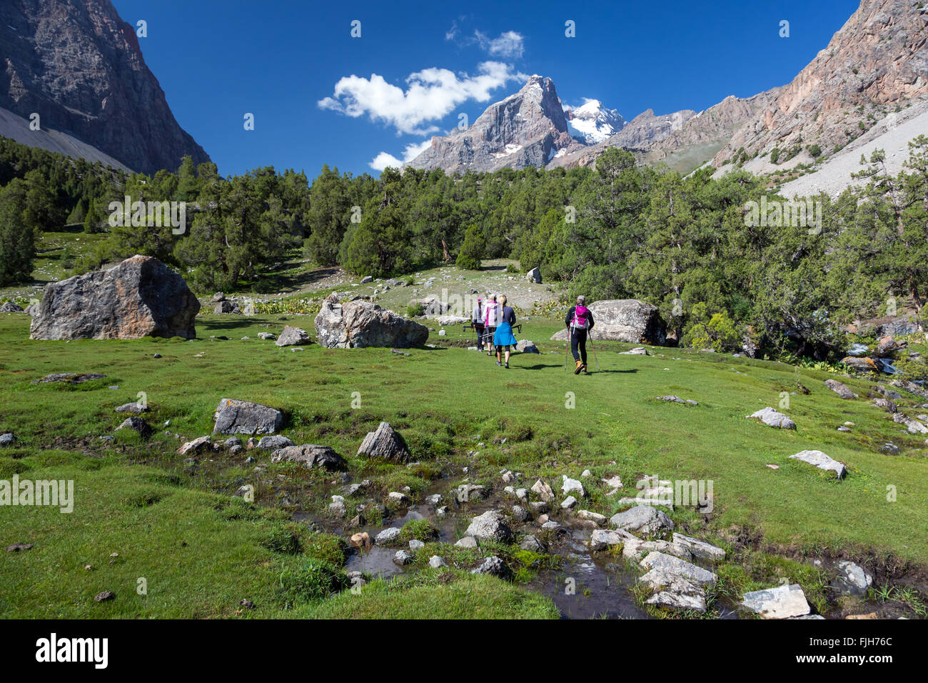 Group of Hikers Walking into Wilderness Stock Photo - Alamy
