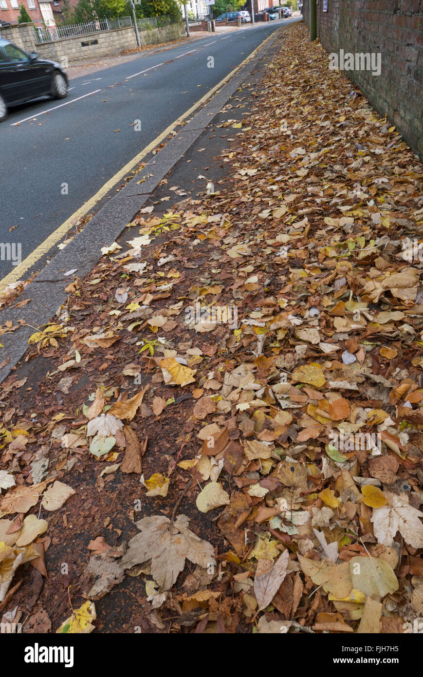 Pavement leaves hi-res stock photography and images - Alamy