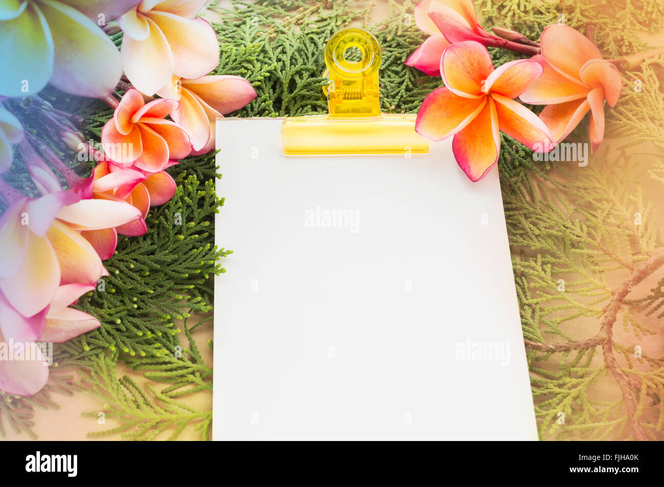 Blank note with flowers in dreamy fantasy colour Stock Photo - Alamy