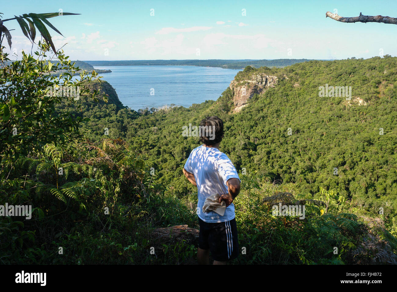 Panoramic view on the jungle Stock Photo - Alamy