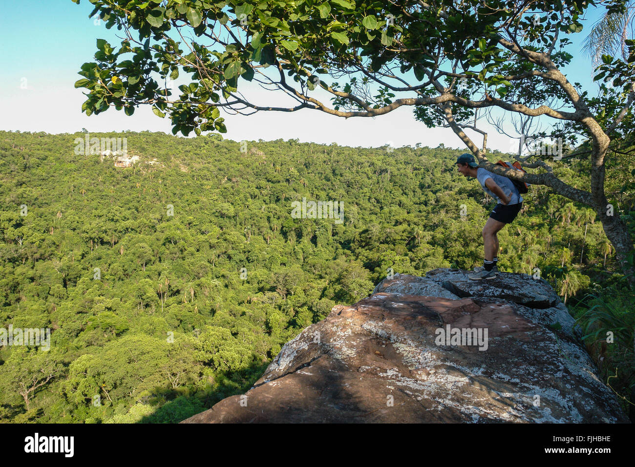 Panoramic view on the jungle Stock Photo - Alamy