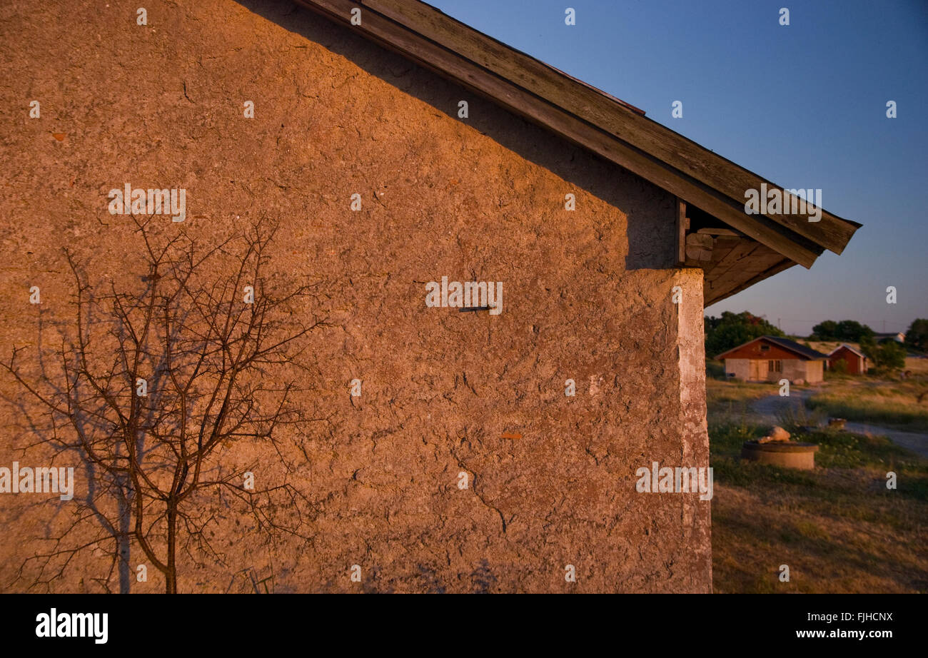 House wall with tree in front Stock Photo - Alamy