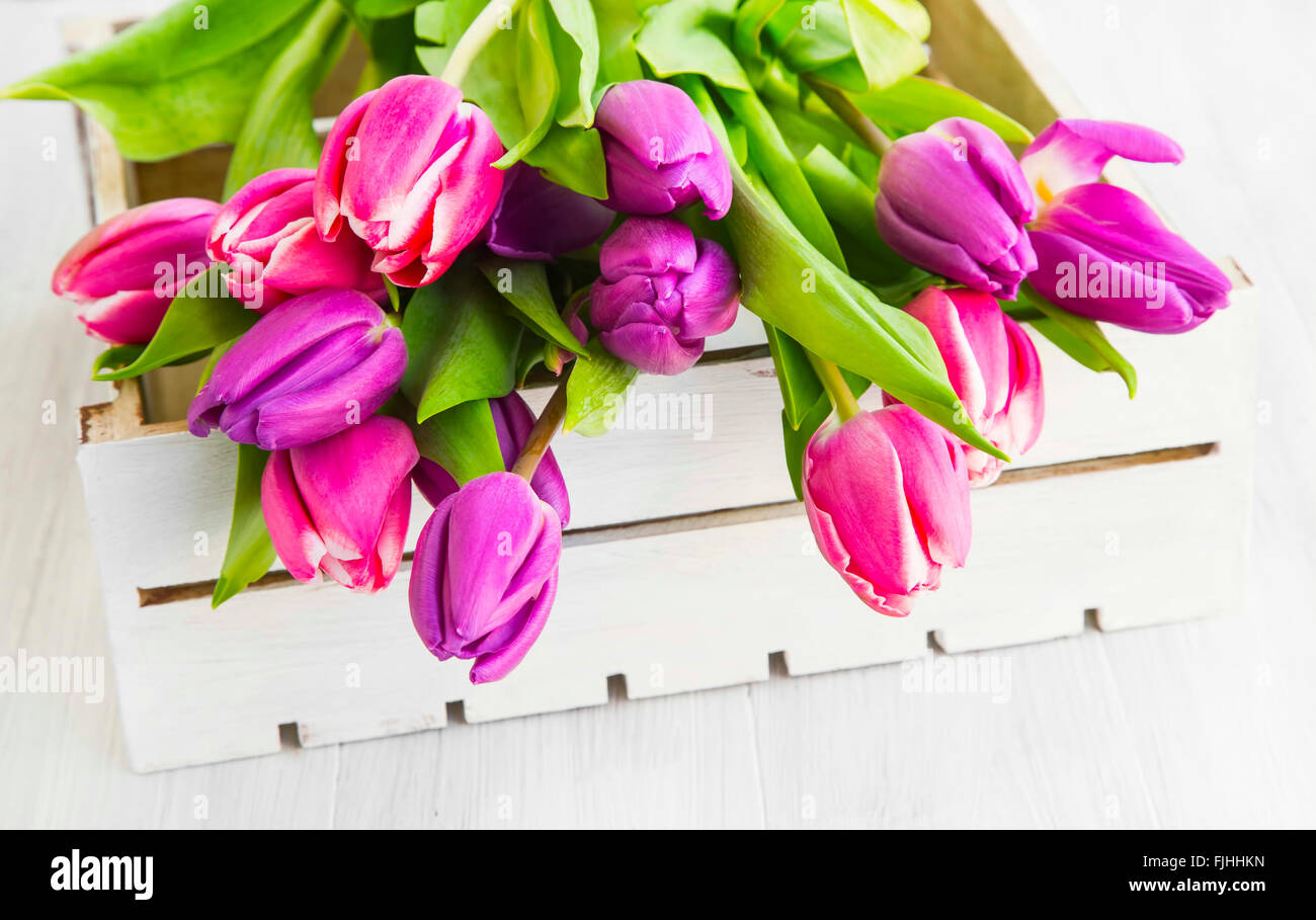 Garden wooden white box hi-res stock photography and images - Alamy