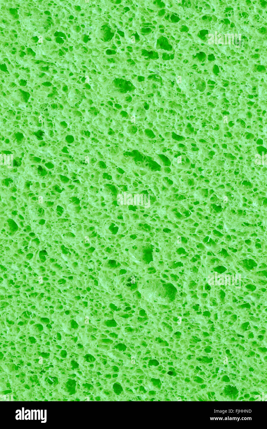 Background with extremal close-up of green sponge Stock Photo - Alamy
