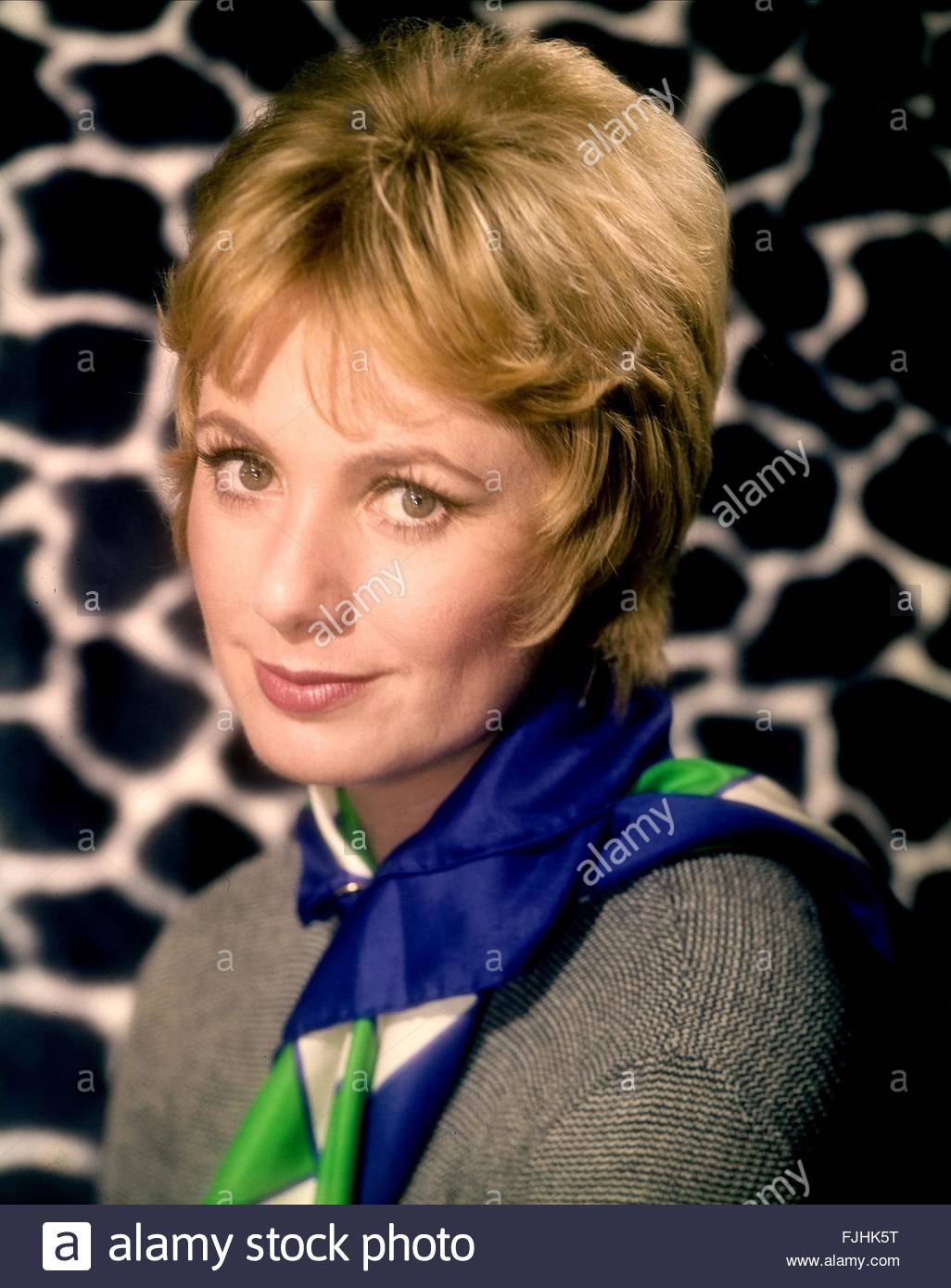 The Partridge Family Television Series High Resolution Stock ...