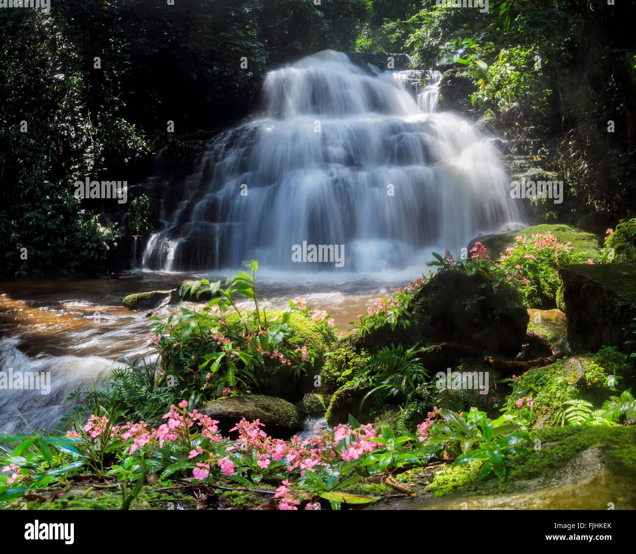 Waterfall in rain forest , Thailand Stock Photo - Alamy