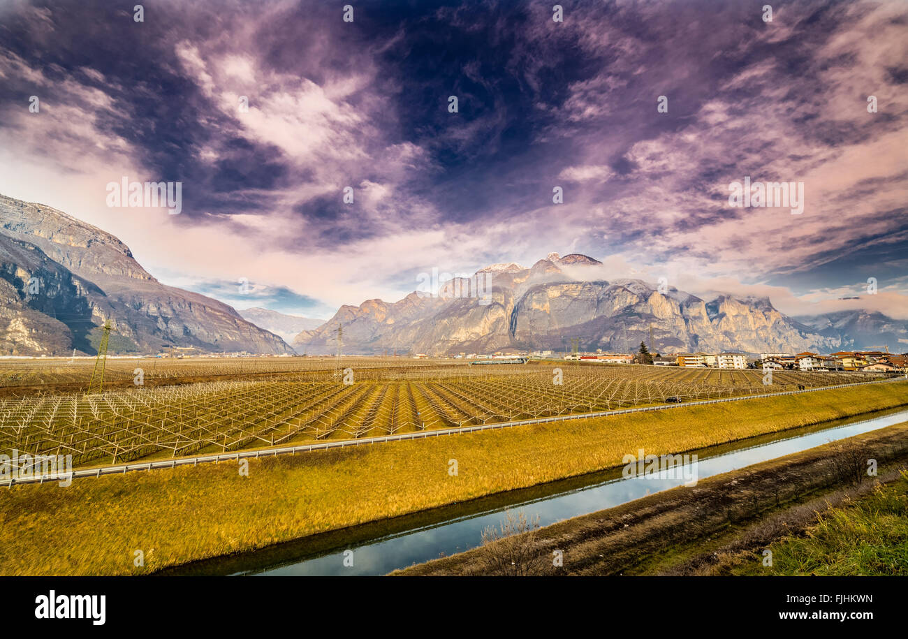 reddish sky over mountain orchards in Italy Stock Photo - Alamy