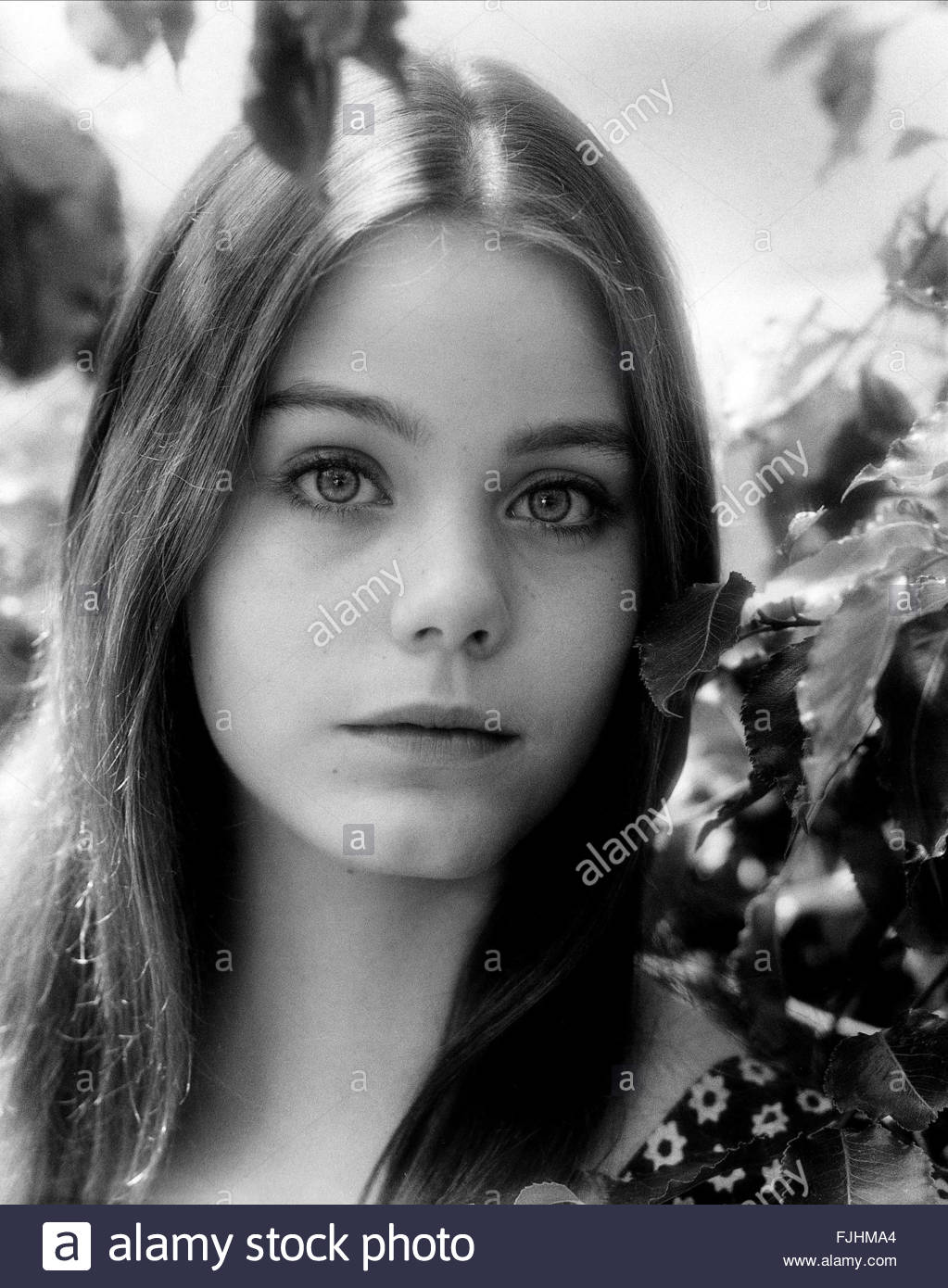 Susan Dey High Resolution Stock Photography and Images - Alamy
