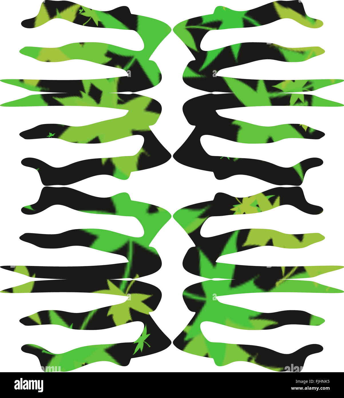 Green leopard Cut Out Stock Images & Pictures - Alamy