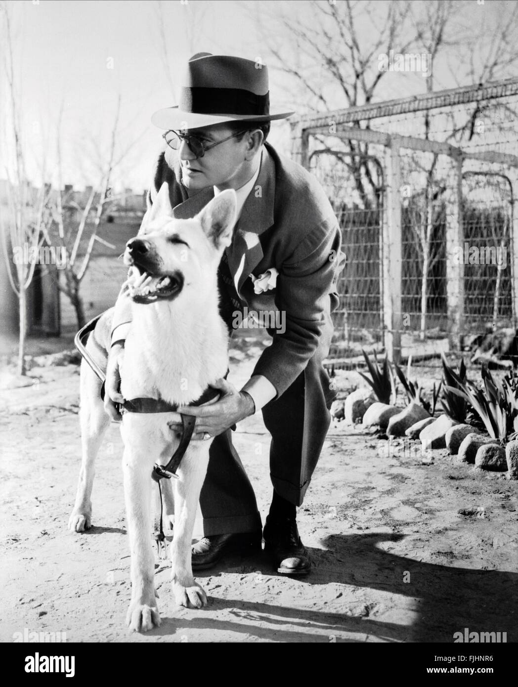 RICHARD DIX BLIND ALIBI (1938 Stock Photo - Alamy