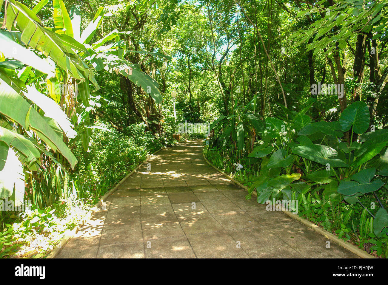 Vegetationalley hi-res stock photography and images - Alamy