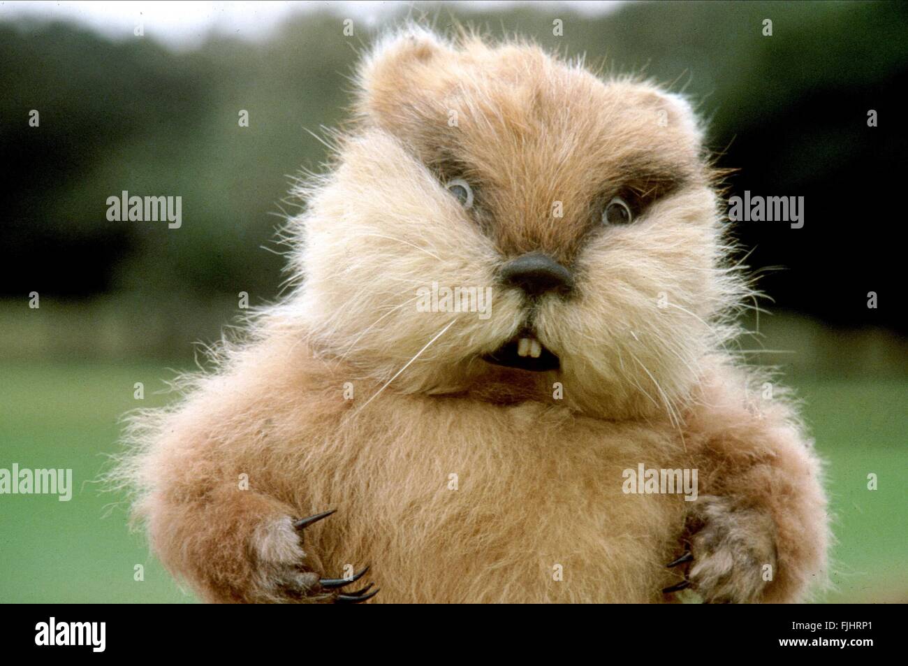 Caddyshack Film High Resolution Stock Photography and Images - Alamy