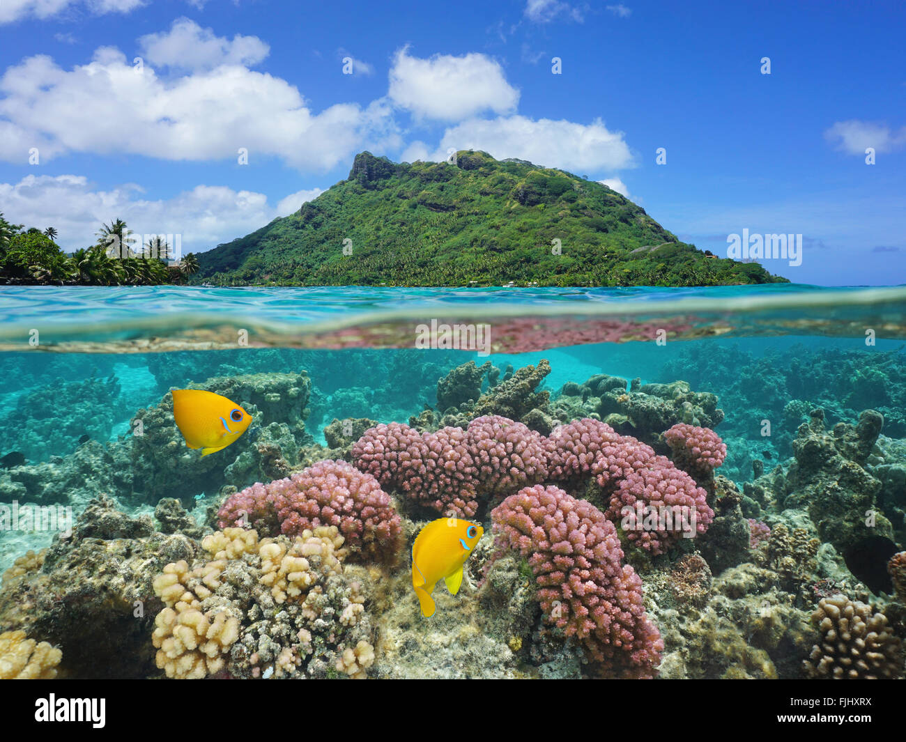 Split image above and below water surface, landscape of Huahine island ...