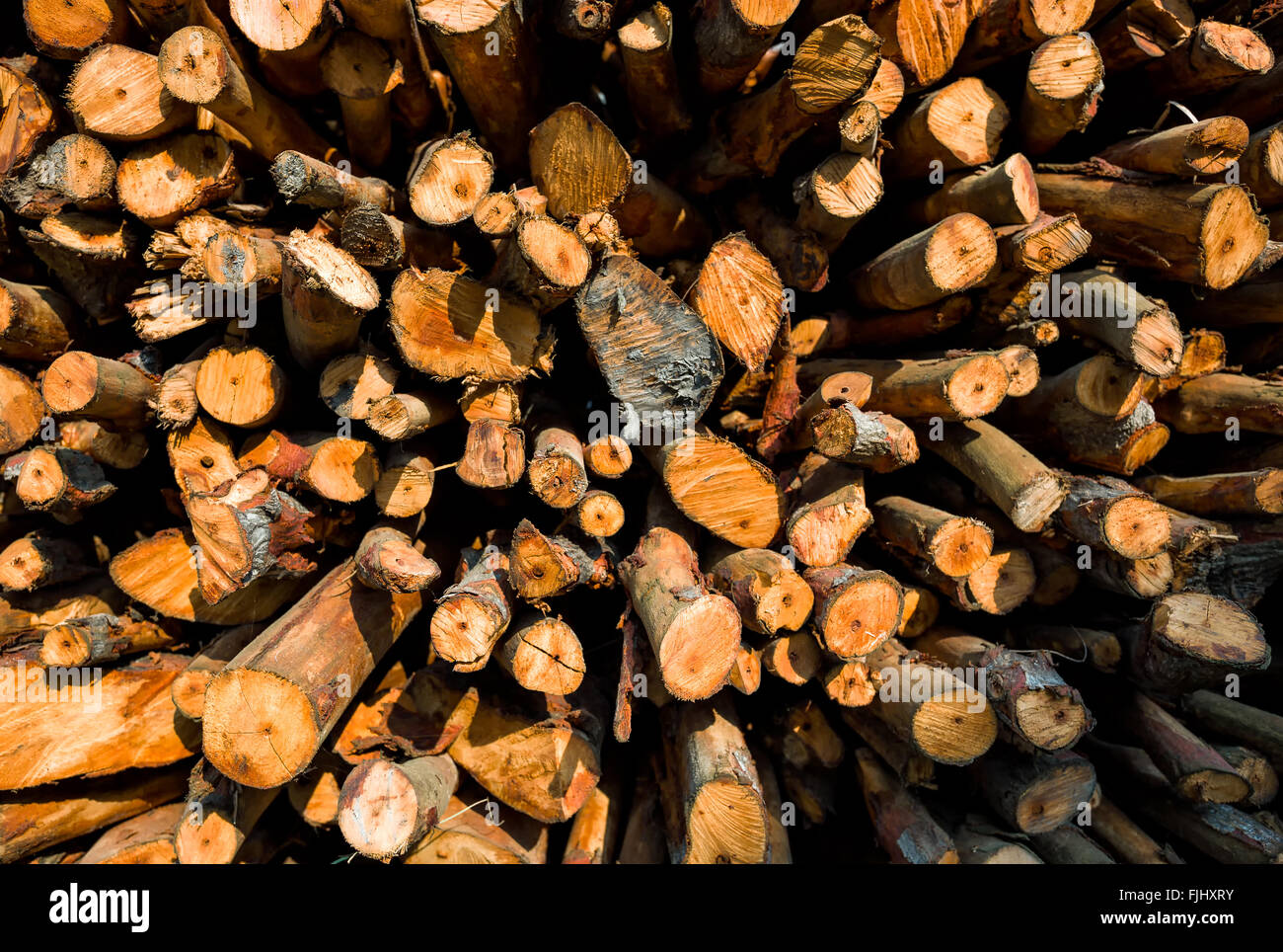 Wood texture background ready hi-res stock photography and images - Alamy