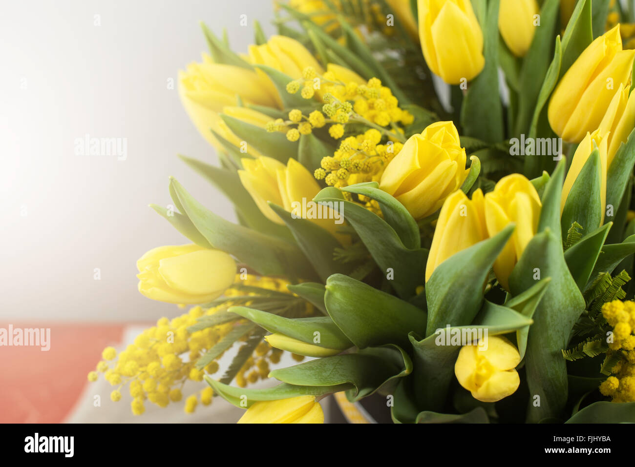 Bright spring bouquet of tulips and mimosa flowers. Mother's Day or ...